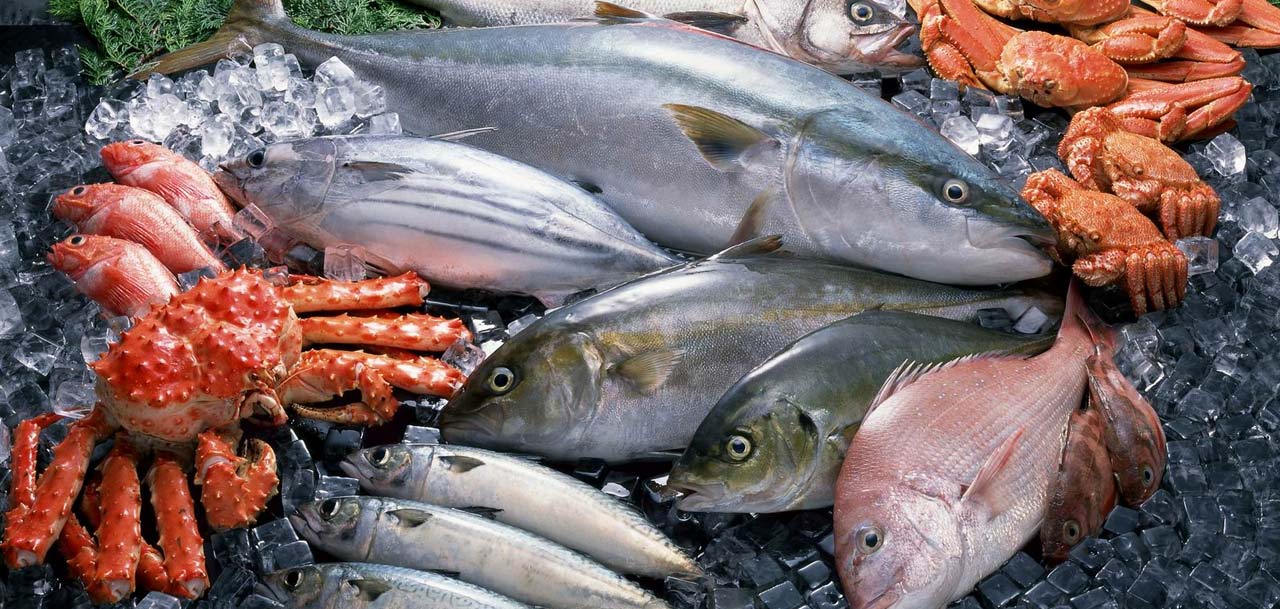 ¿Cómo reconocer el pescado fresco? - Clinica Lass